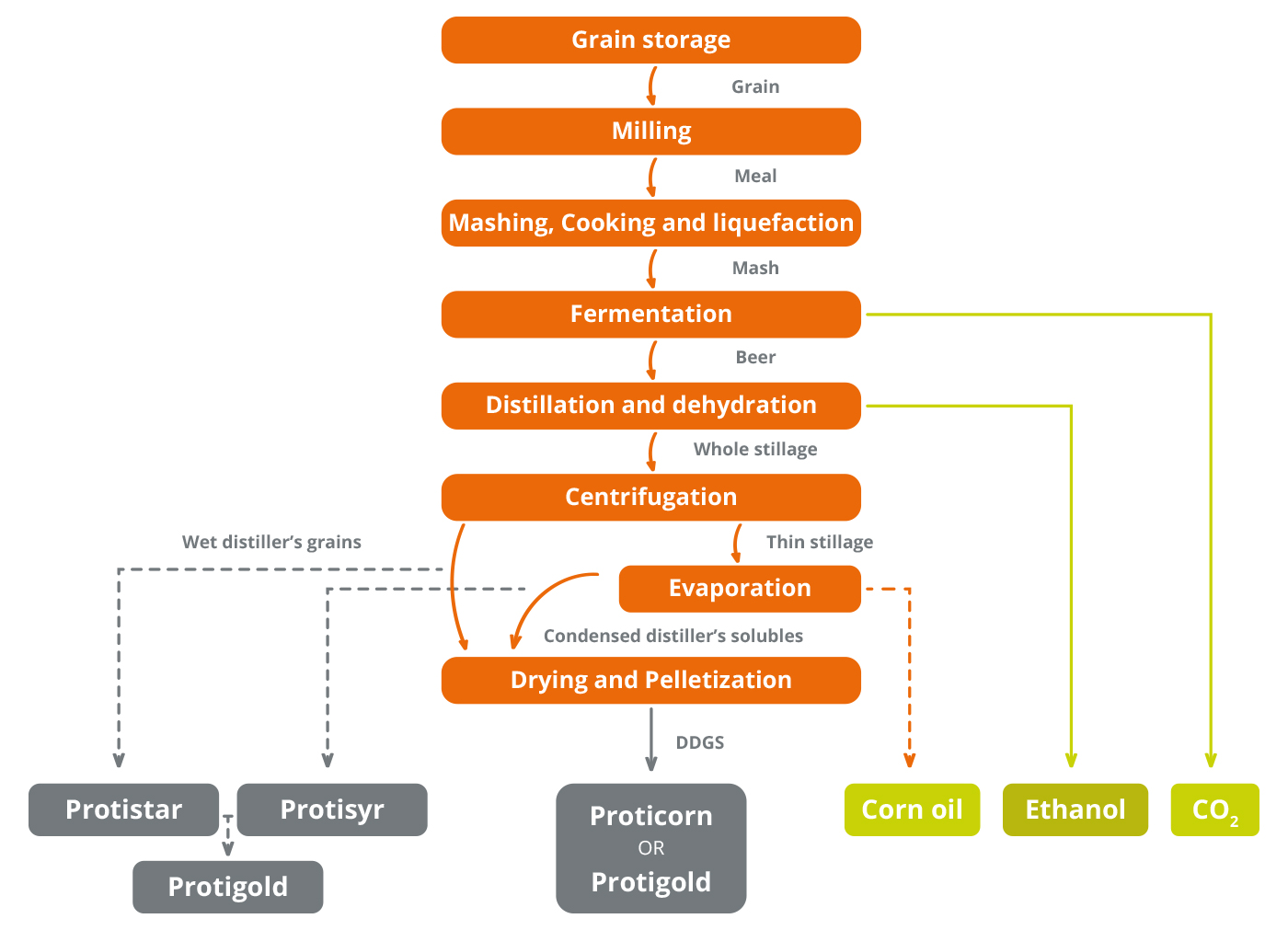 Our biorefinery - Alcobiofuel